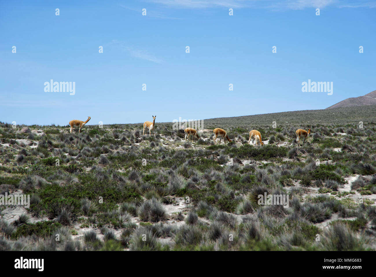 Misti stone hi-res stock photography and images - Alamy