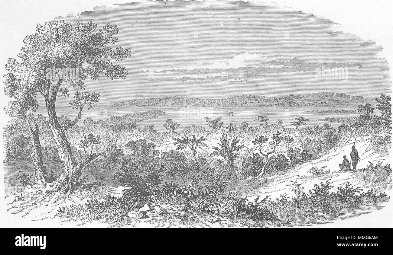 SOUTH AFRICA. Natal & Zululand. View Durban 1880 old antique print ...