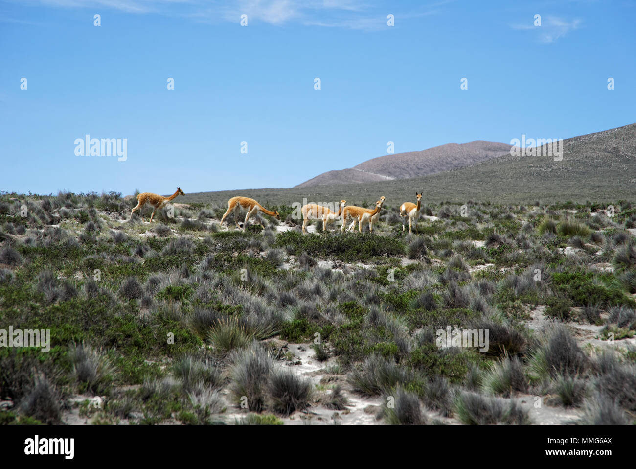 Misti Mountain Landscapes Stock Photo - Alamy