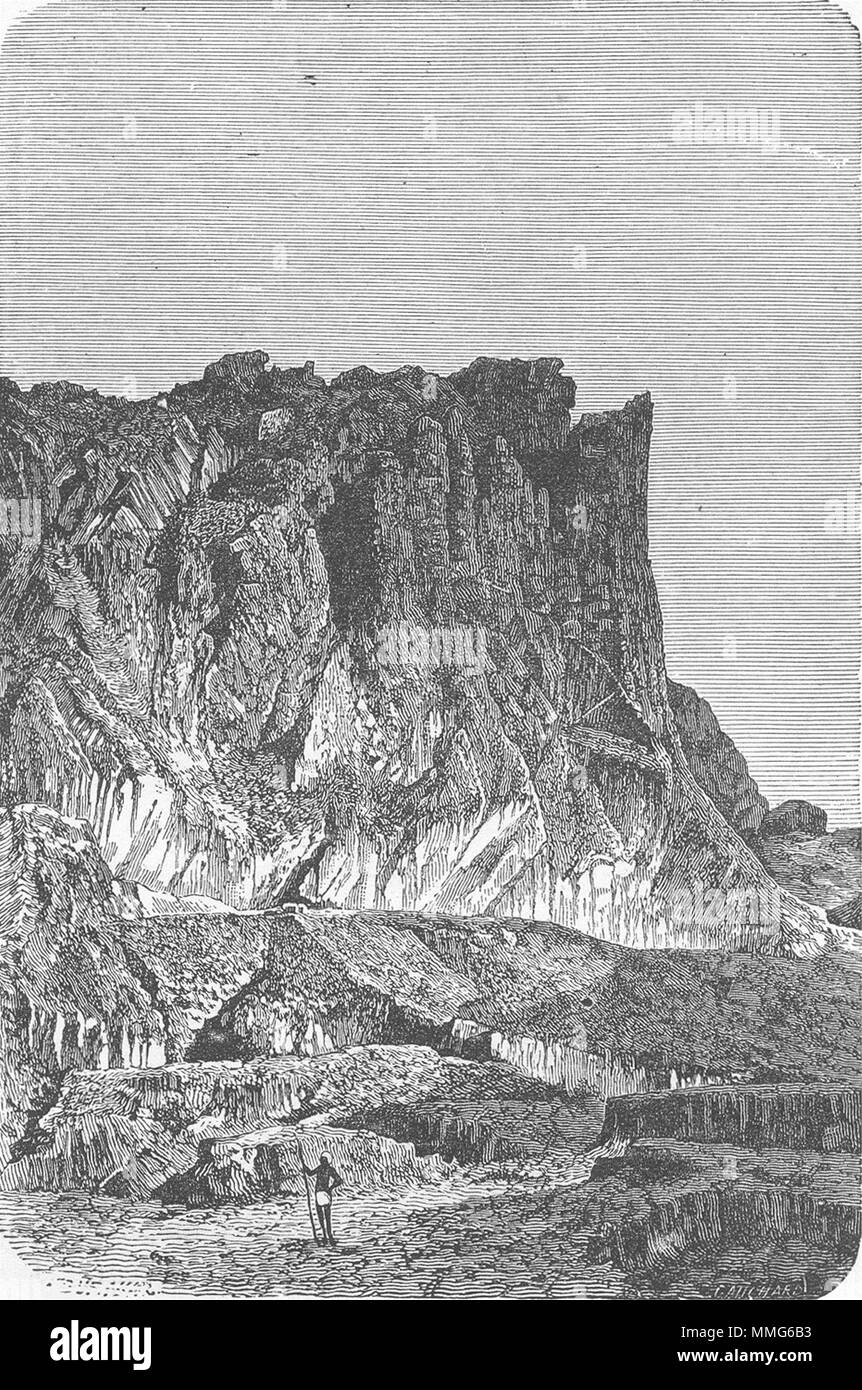 ANIMALS. Himalayas. Haunt of Black Bear 1880 old antique vintage print ...