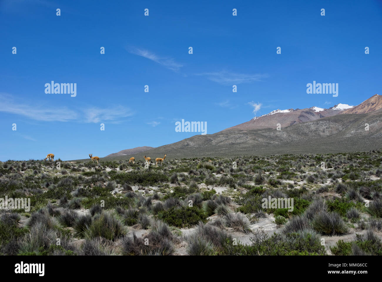 Misti stone hi-res stock photography and images - Alamy