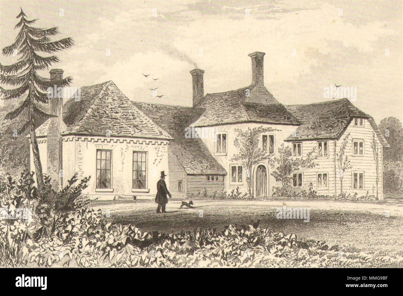 Selborn hi-res stock photography and images - Alamy