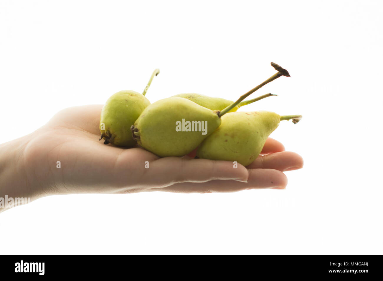 Hand hands holding pear food hi-res stock photography and images - Alamy