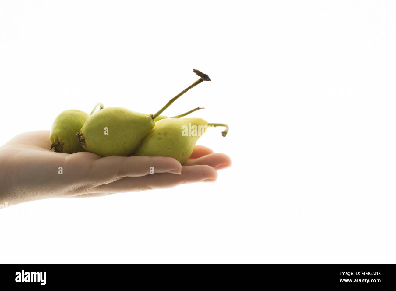 Hand hands holding pear food hi-res stock photography and images - Alamy