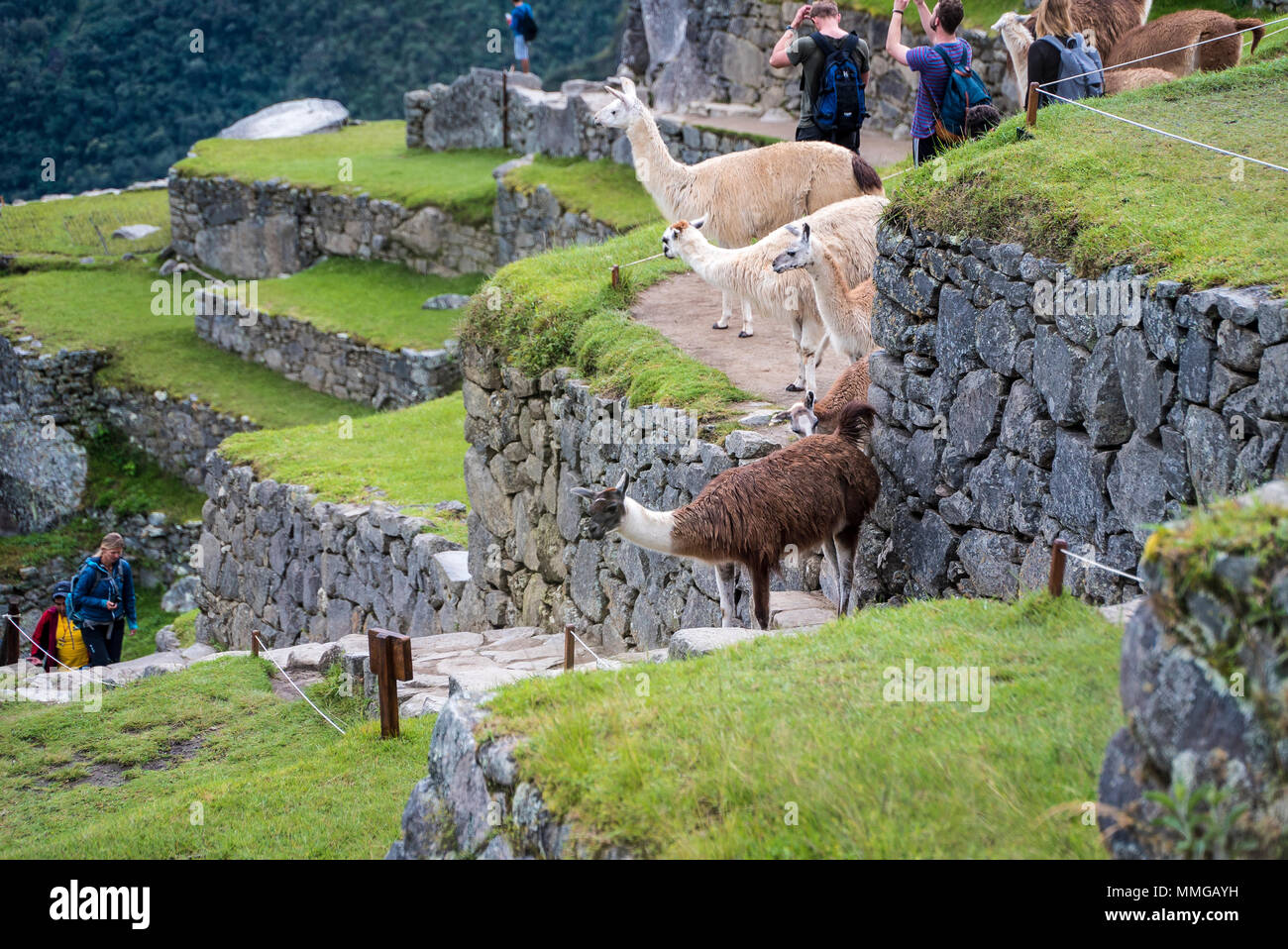 The road to Machu Picchu and beautiful landscapes Stock Photo - Alamy