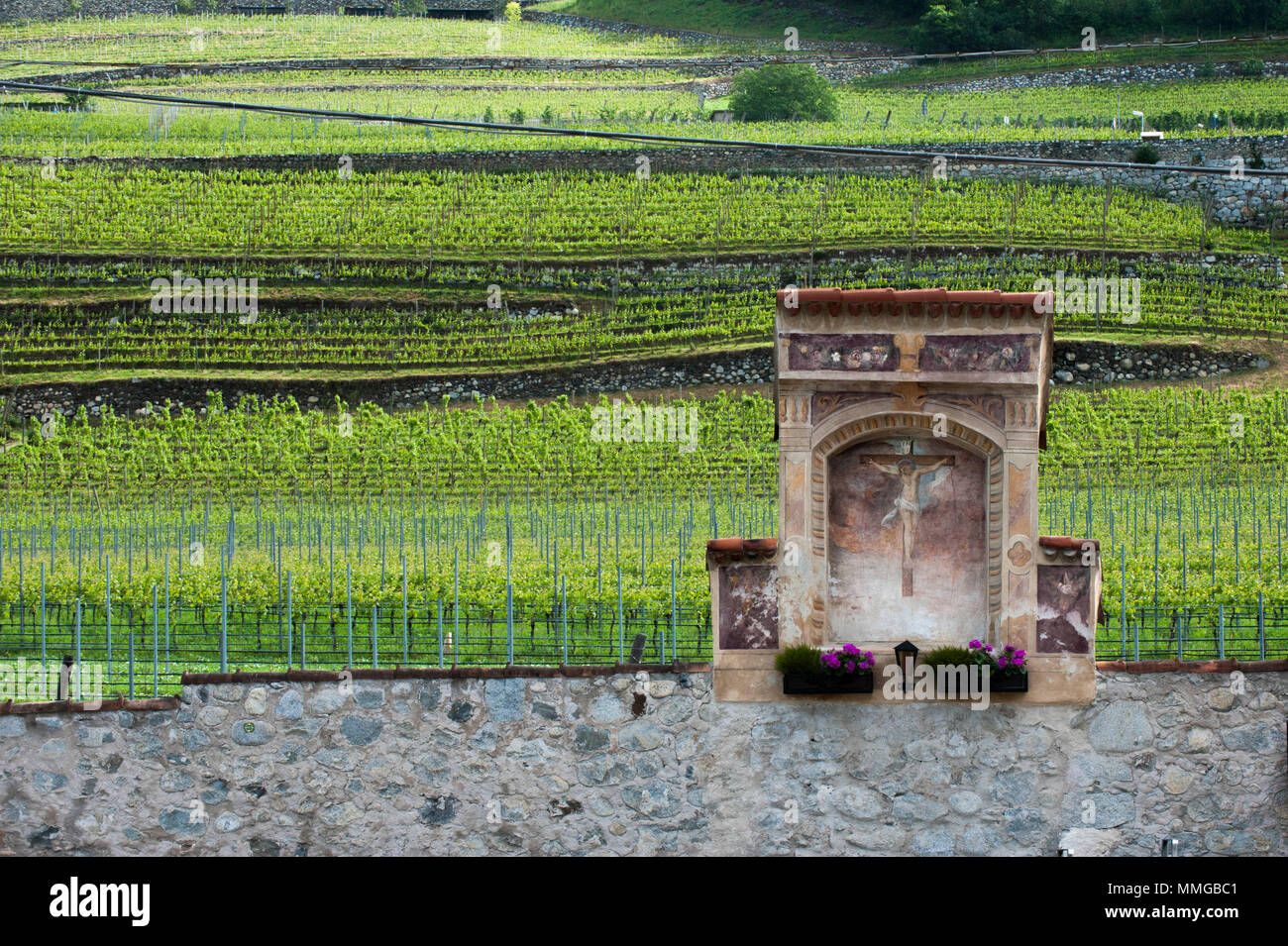 Varna, Bolzano. Religious shrine and vineyard, Novacella Abbey ...
