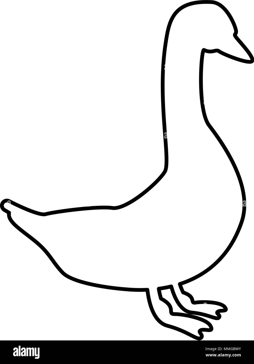 Poultry geese Cut Out Stock Images & Pictures - Alamy