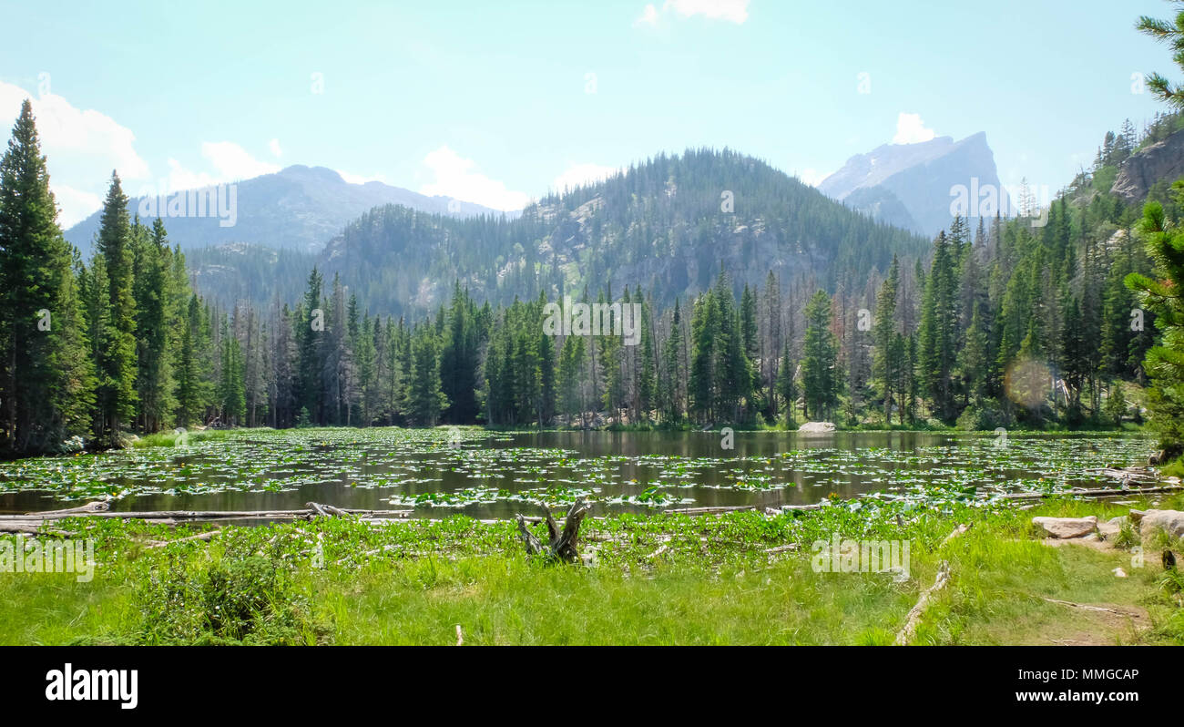 Nymph lake hi-res stock photography and images - Alamy