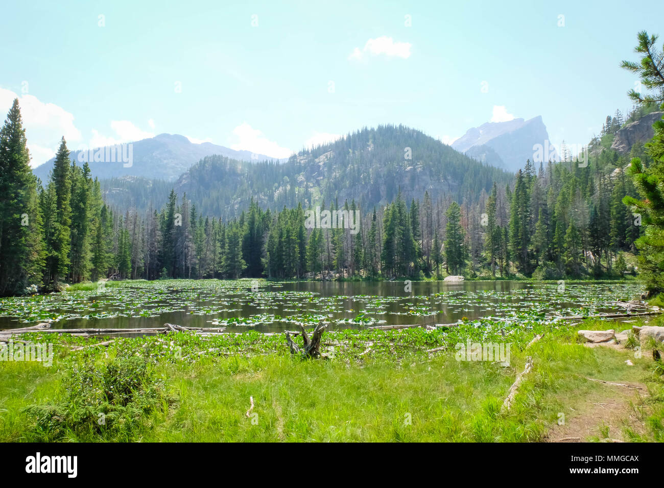 Nymph Lake, Rocky Mountain National Park, Colorado Stock Photo - Alamy