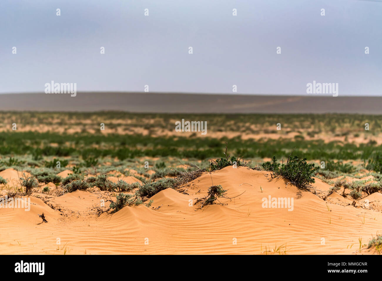 Semi-desert landscape with sagebrush Stock Photo - Alamy