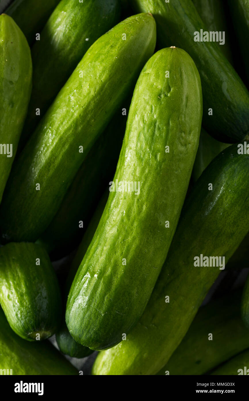 Raw Green Organic Baby Cucumbers Ready to Eat Stock Photo - Alamy