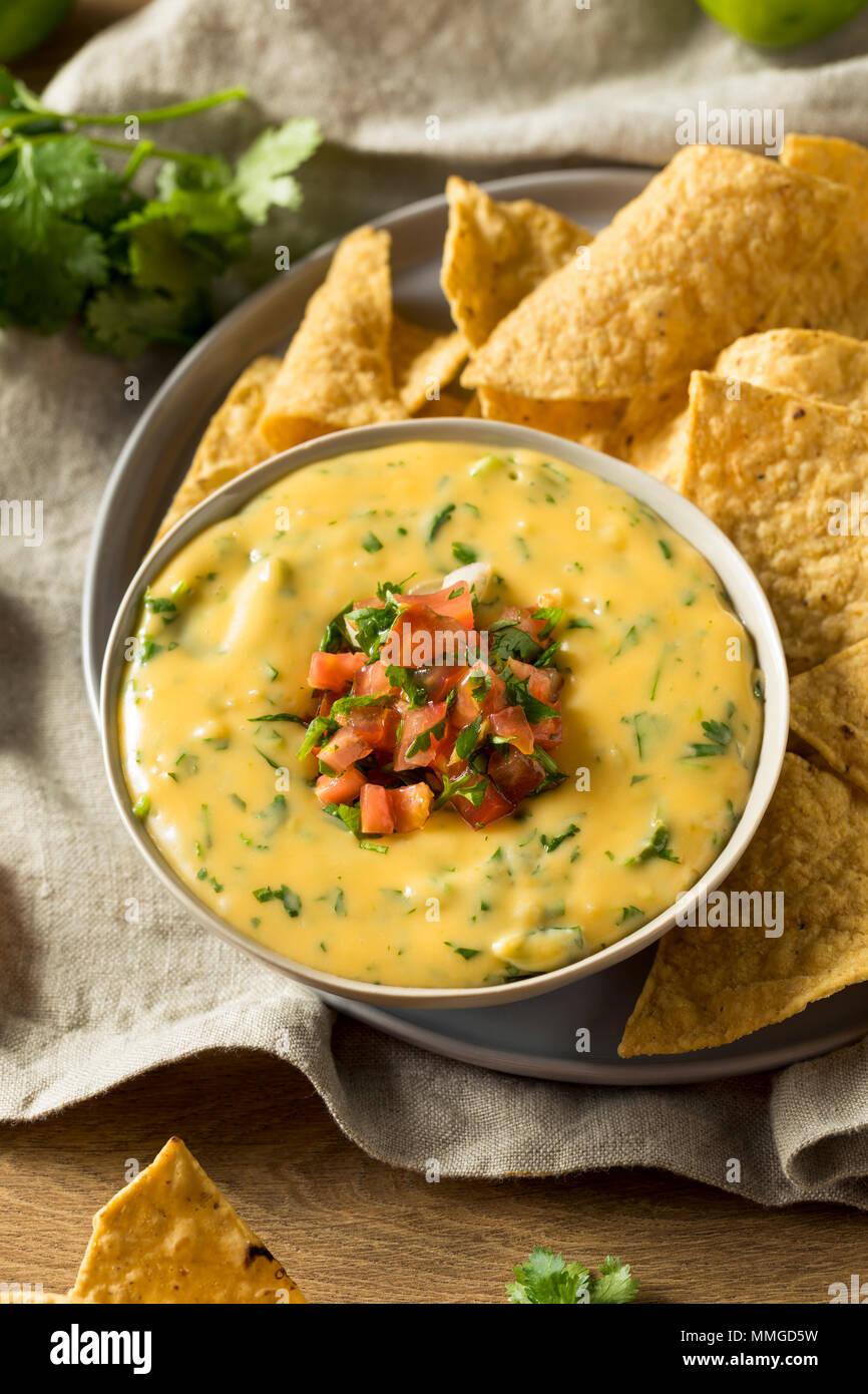 Spicy Homemade Cheesey Queso Dip with Tortilla Chips Stock Photo - Alamy