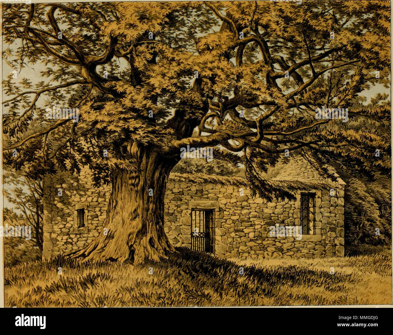 "The chiefs of Colquhoun and their country;" (1869 Stock Photo - Alamy