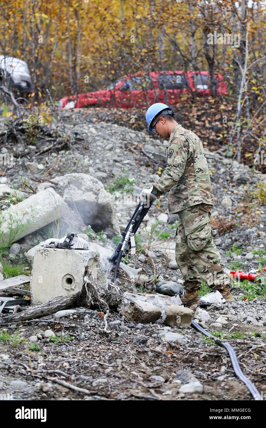 Eight Alaska Army Guardsmen from the 207th Engineer Utility Detachment ...