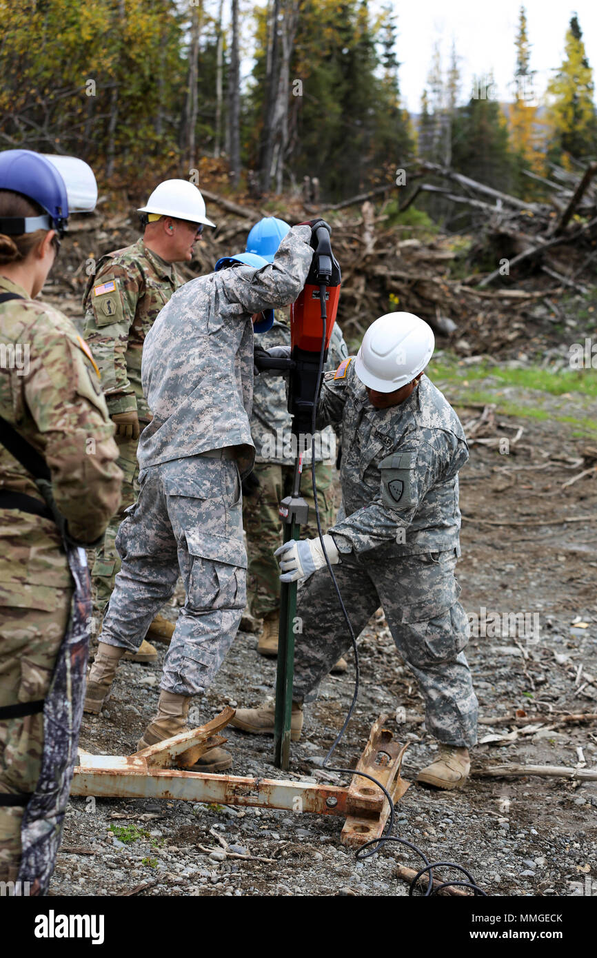 Eight Alaska Army Guardsmen from the 207th Engineer Utility Detachment ...
