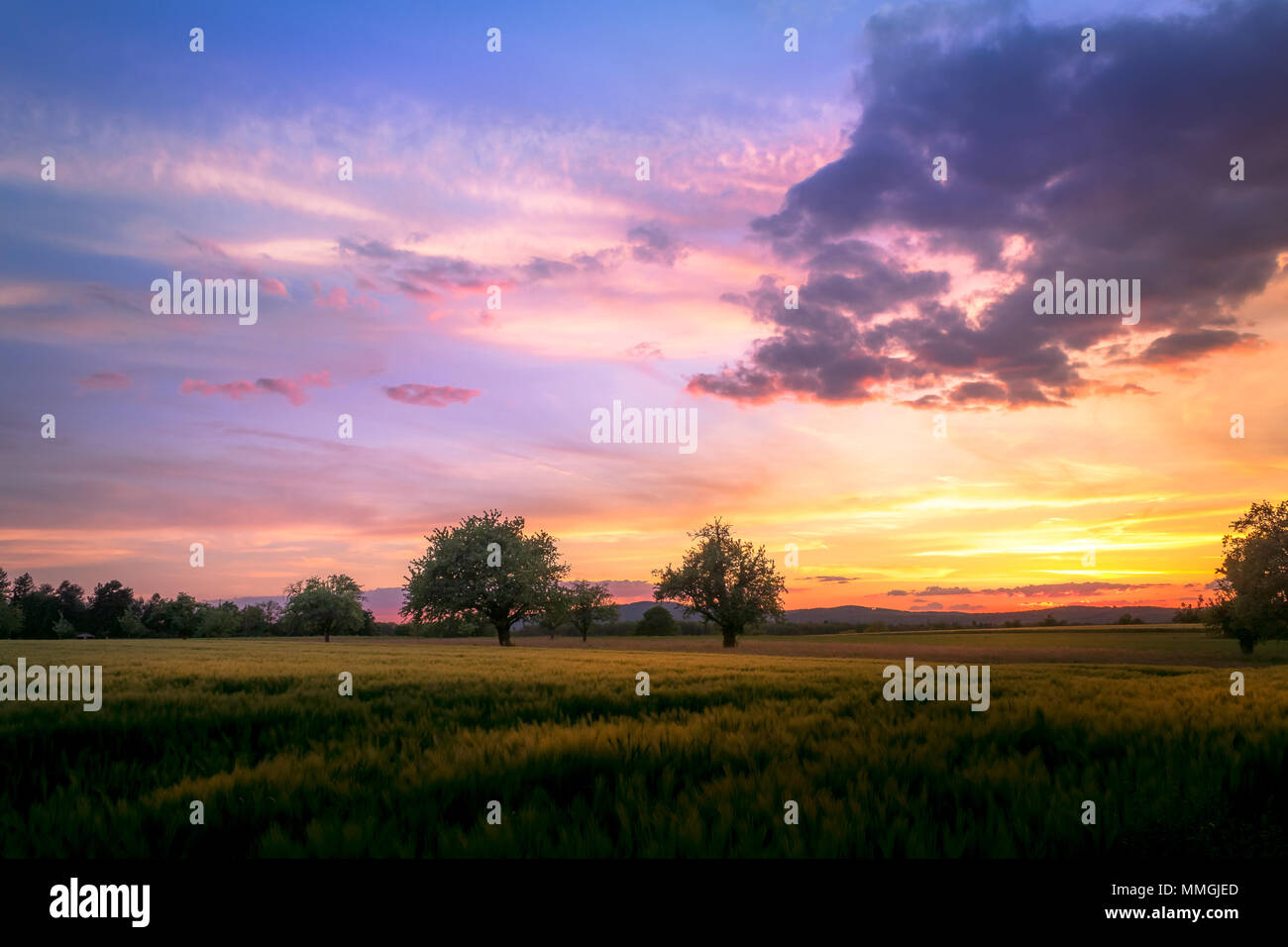 Spring sunet hi-res stock photography and images - Alamy