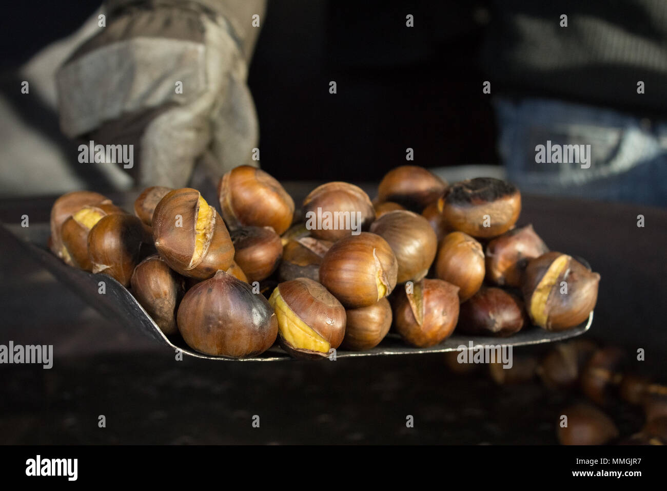 Chestnut men hi-res stock photography and images - Alamy