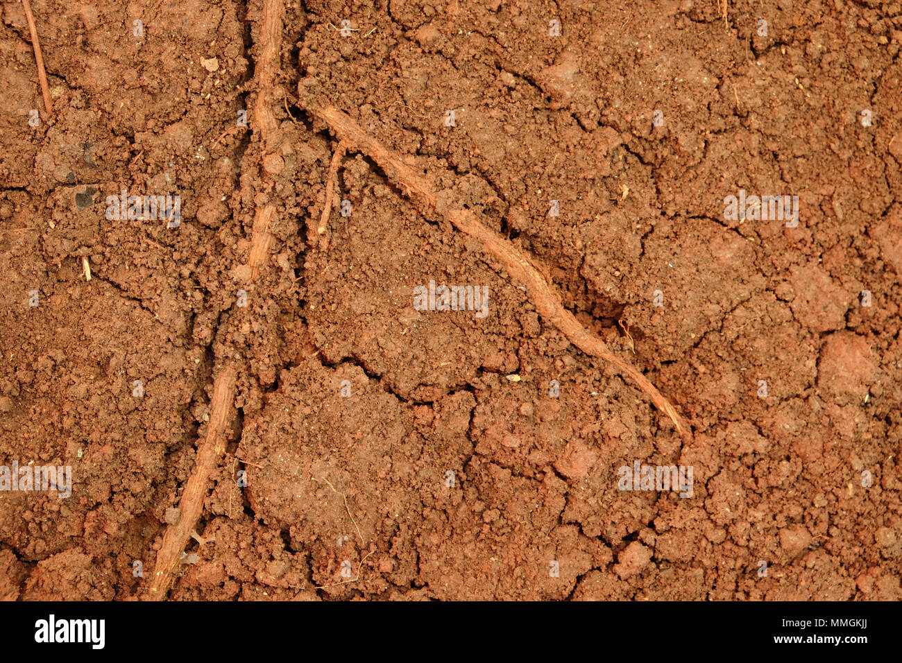 peat soil texture background Stock Photo - Alamy