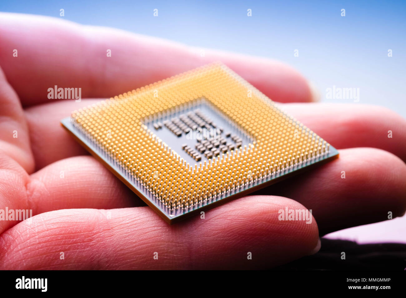 technology cyber electronic concept. cpu microprocessor chip in hand ...