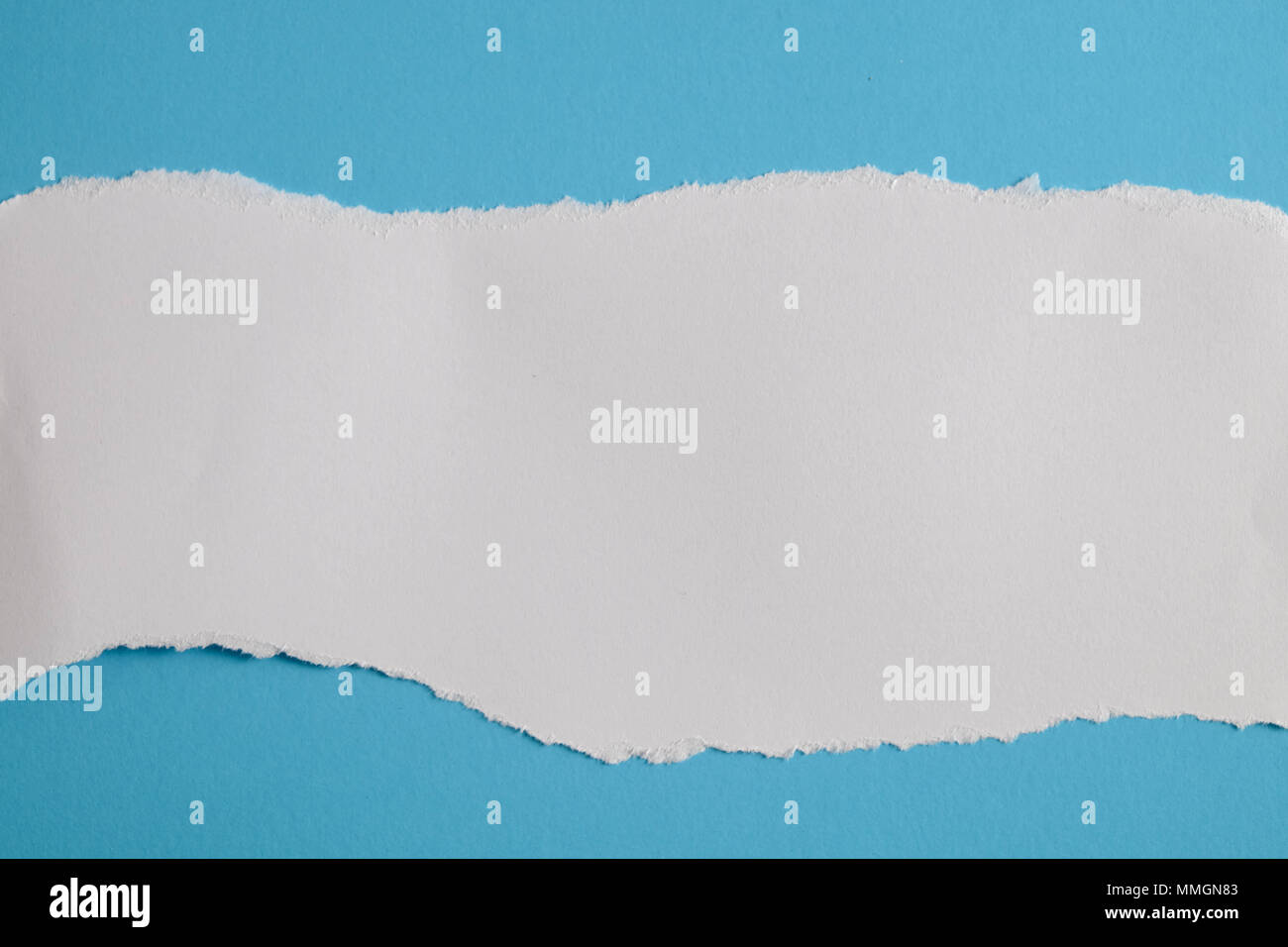 Torn up brochure hi-res stock photography and images - Alamy