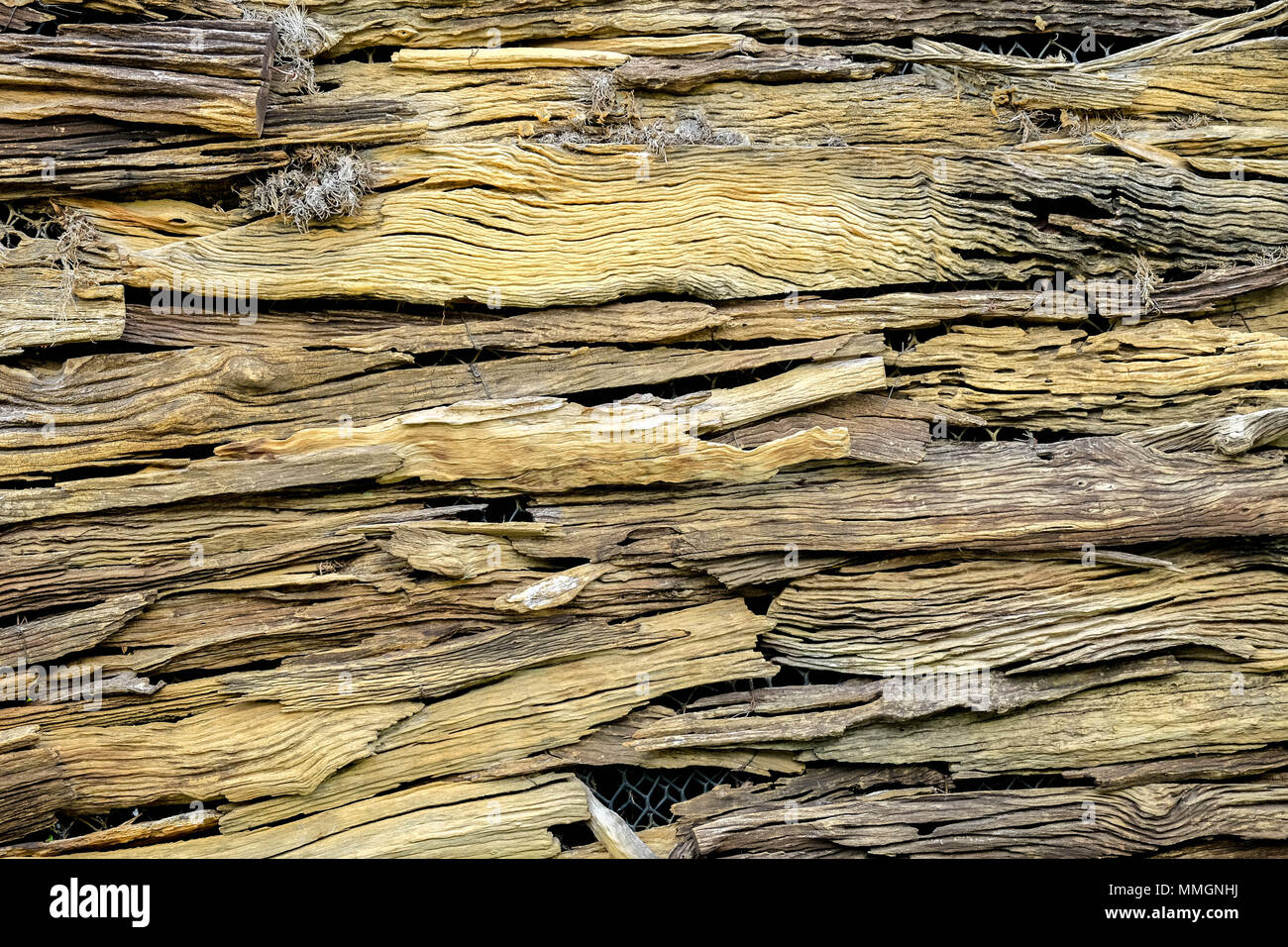 abstract wood Texture background Stock Photo - Alamy