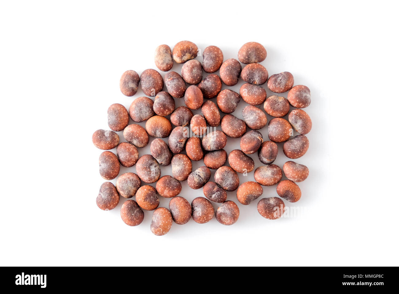 Baobab seeds Cut Out Stock Images & Pictures - Alamy