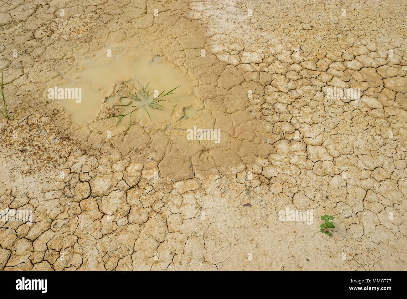 abstract background rift of soil Climate change and drought land Stock ...