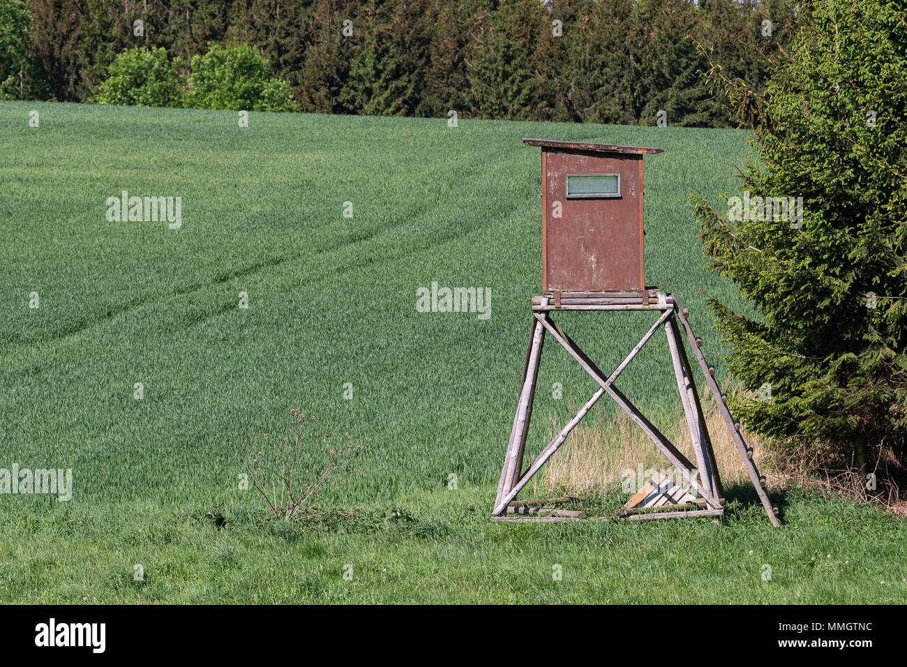 Wooden lookout tower for hunting in the woods and on meadow Stock Photo ...