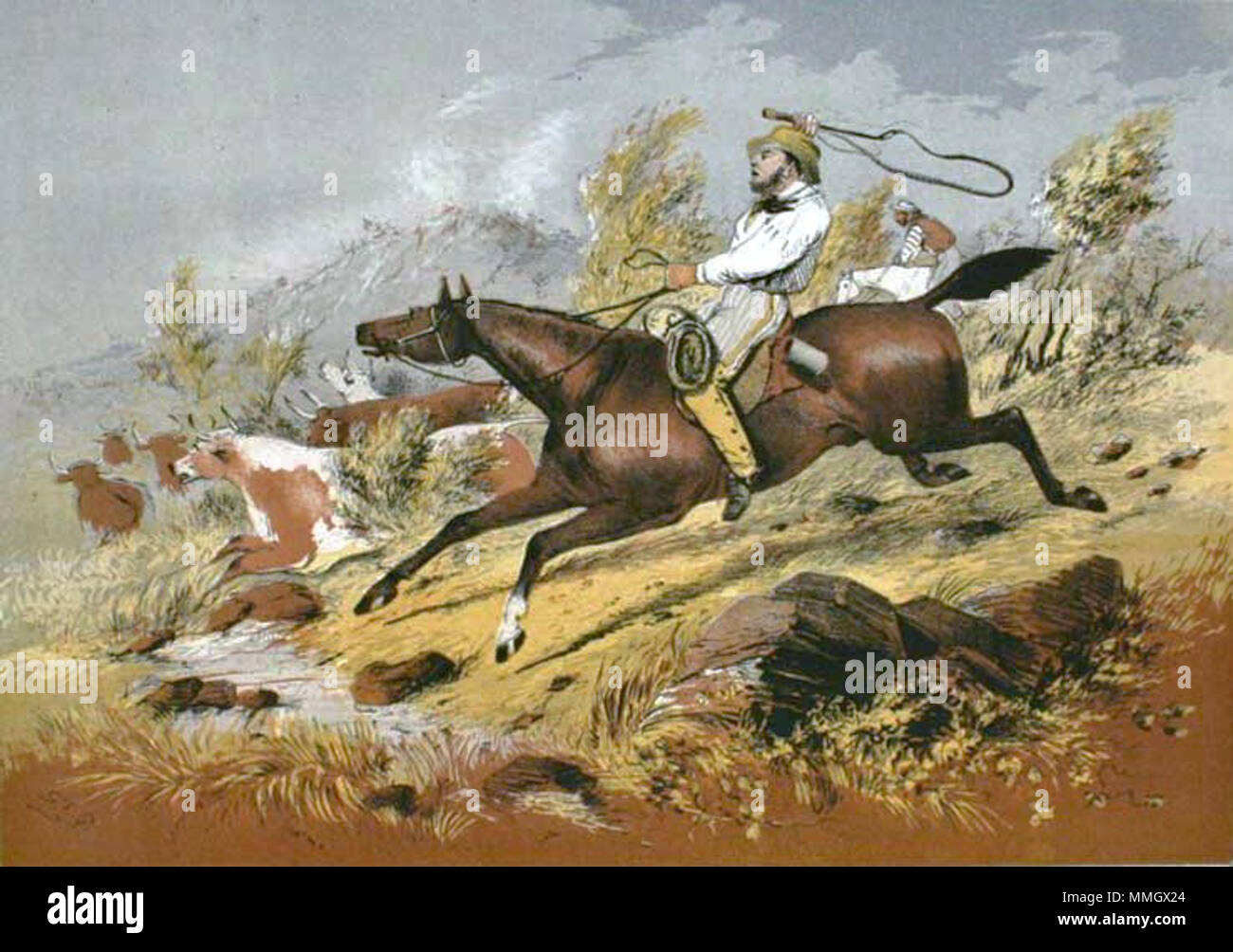 . English: The Stockman by S.T. Gill (1818-1880) . circa 1855. S.T ...