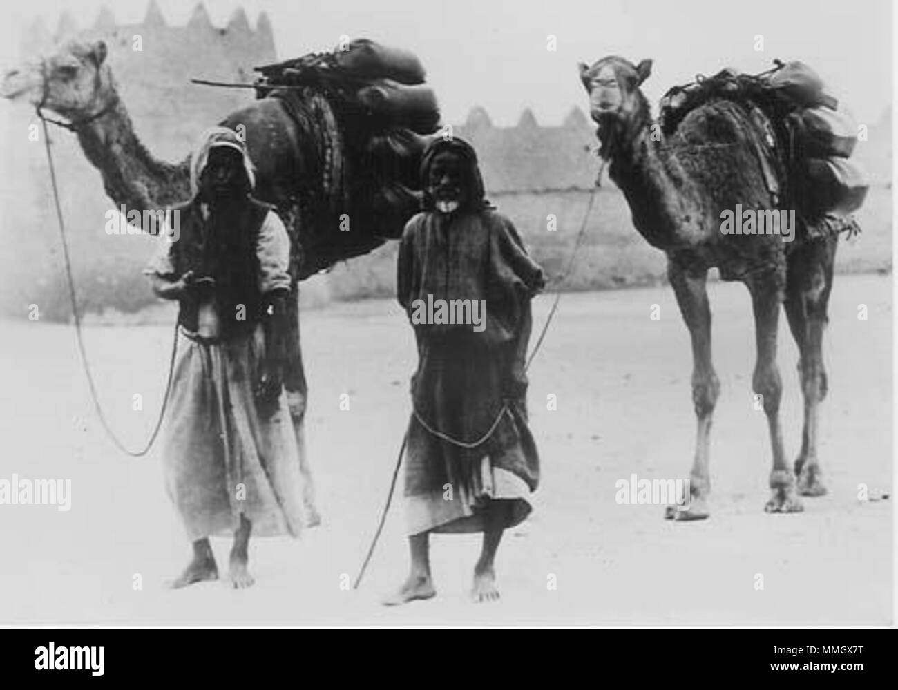 . English: A Bedouine of Arabian Peninsula Holding ARope OF A Camel ...