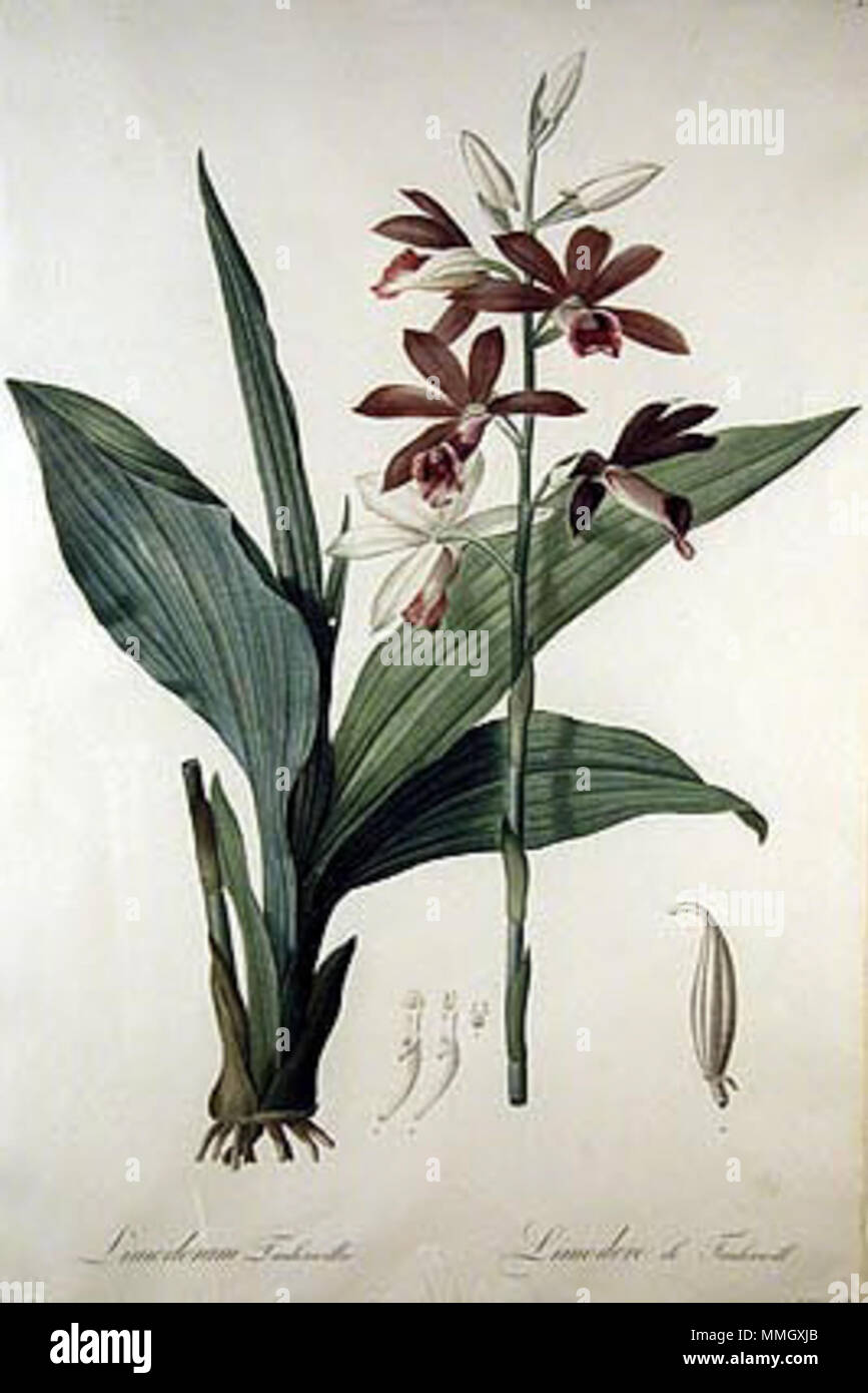 Tankerville hi-res stock photography and images - Alamy