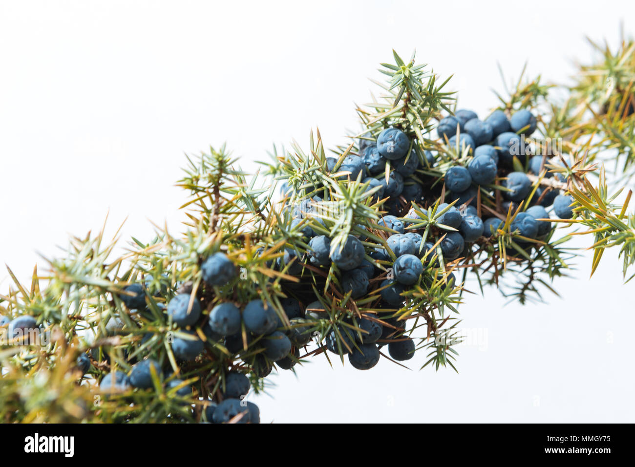 Wellness a venezia hi-res stock photography and images - Alamy