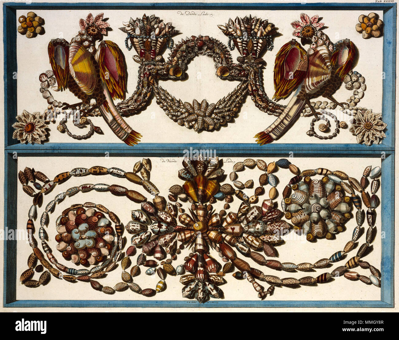 . Shells. Illustration from a famous 18th-century work of reference ...