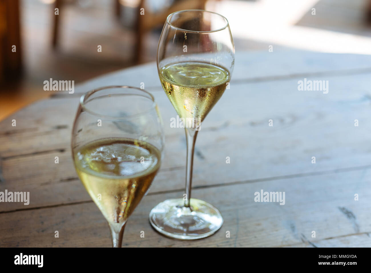 Flutes filled with sparkling prosecco, in a restaurant in Conegliano ...