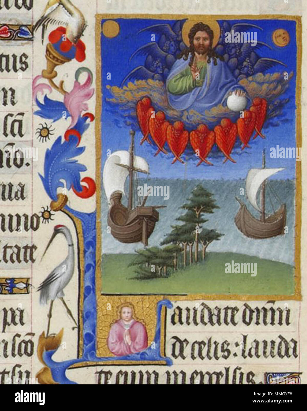 Power and majesty hi-res stock photography and images - Alamy