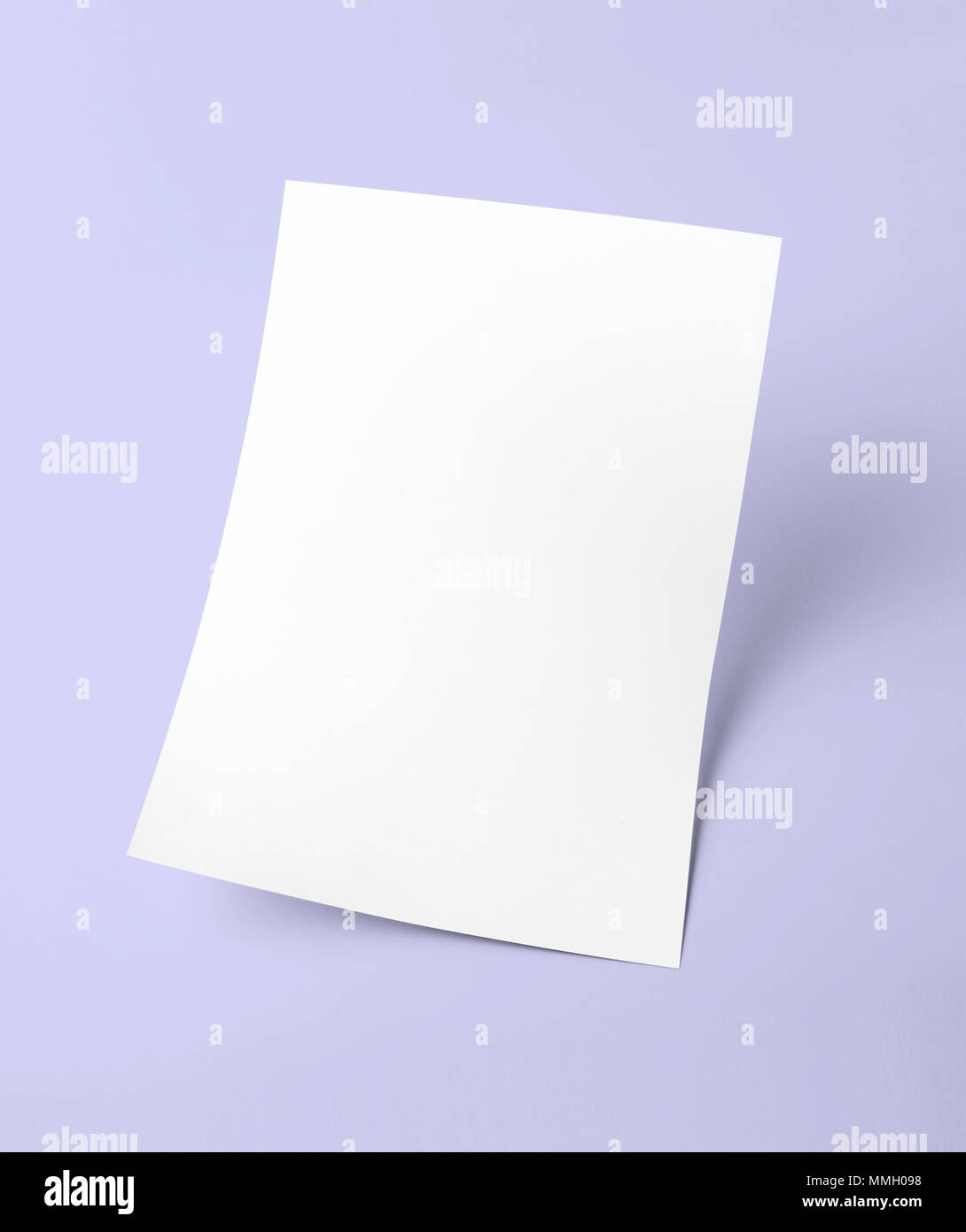 The white blank document paper template with purple background Stock ...