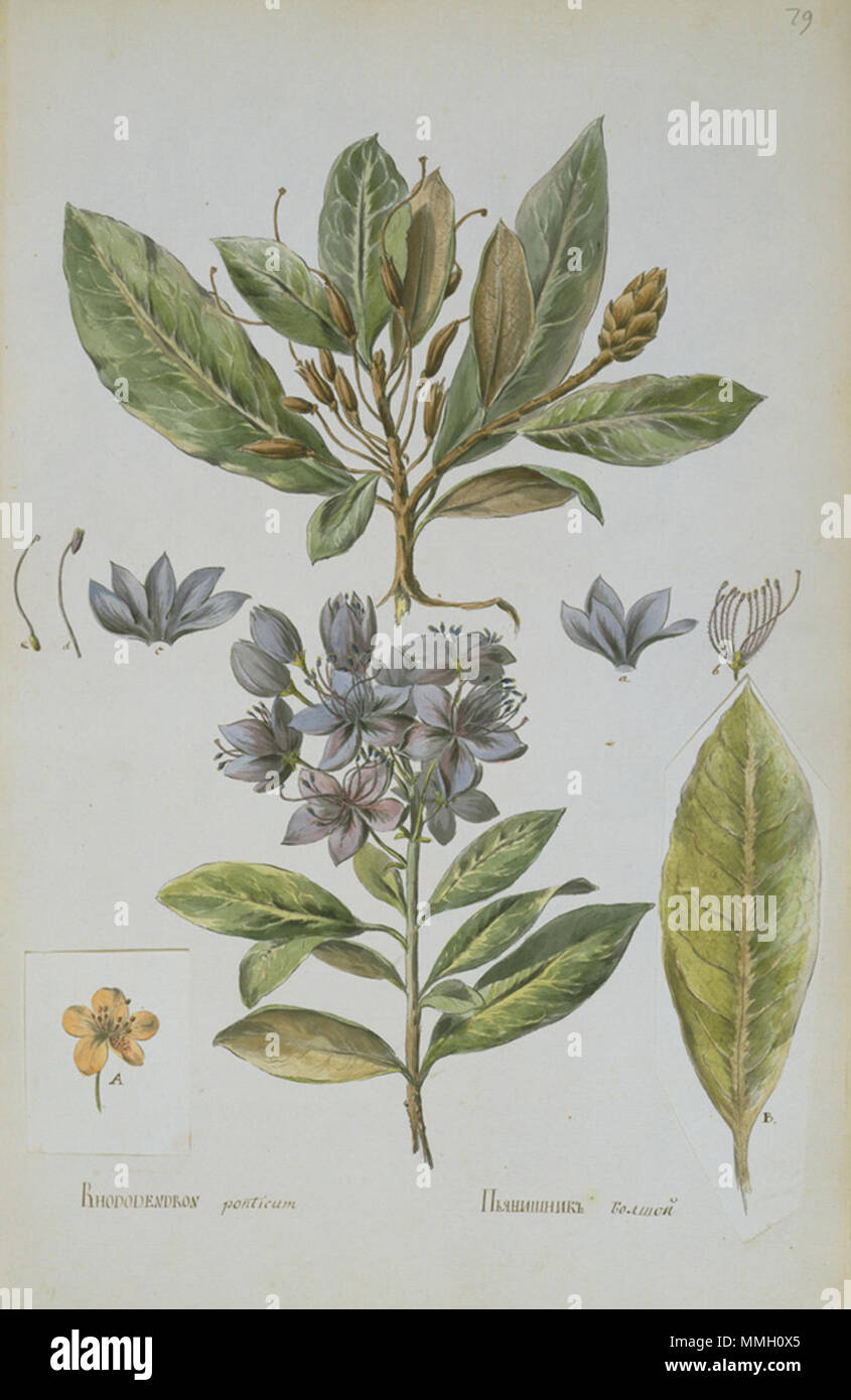 Knappe hi-res stock photography and images - Alamy