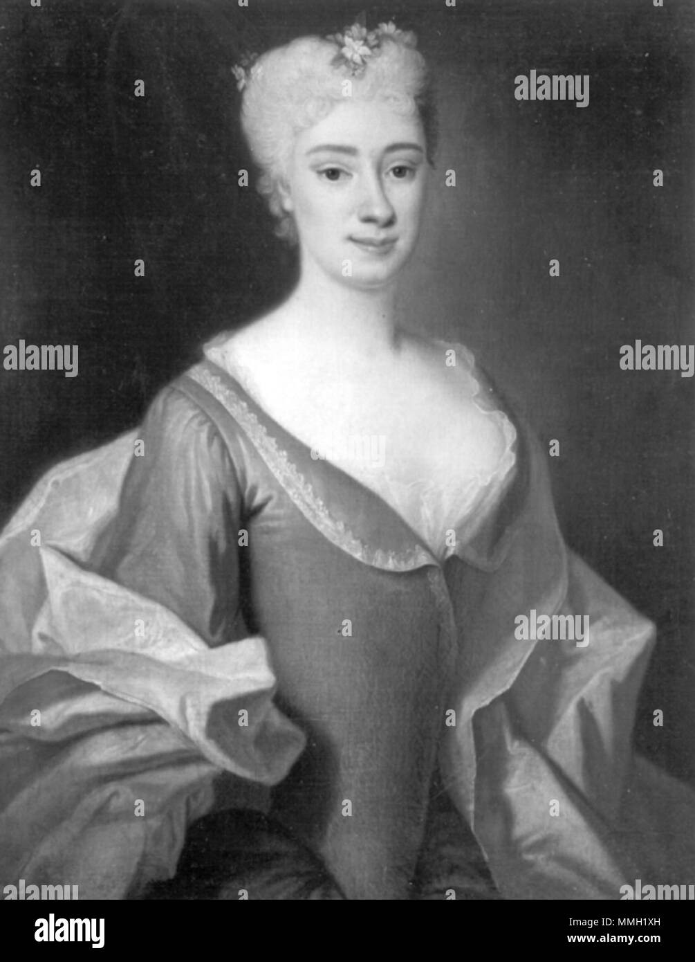 Anna constantia hi-res stock photography and images - Alamy