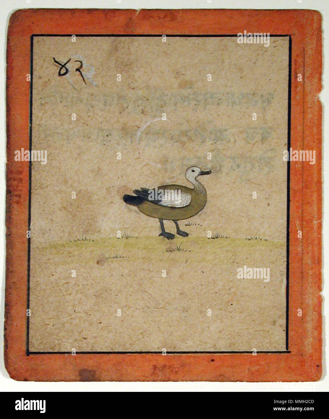 Duck line art hi-res stock photography and images - Alamy