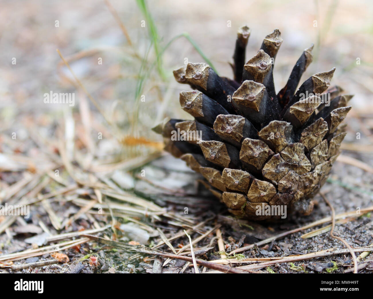 Cone of debris hi-res stock photography and images - Alamy