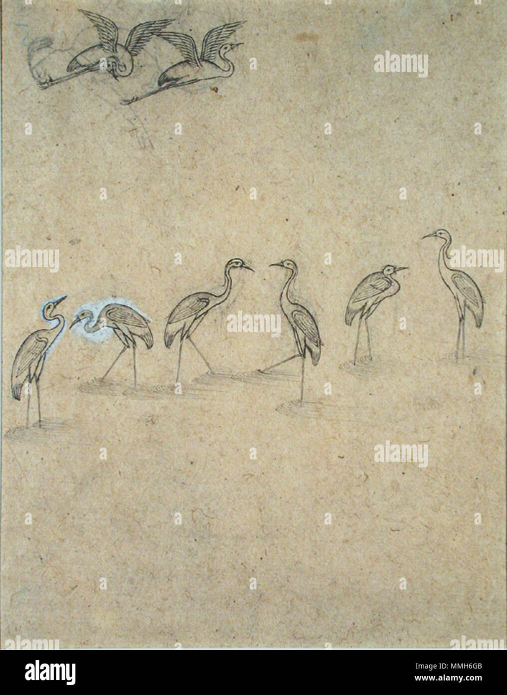 Number 792 hi-res stock photography and images - Alamy