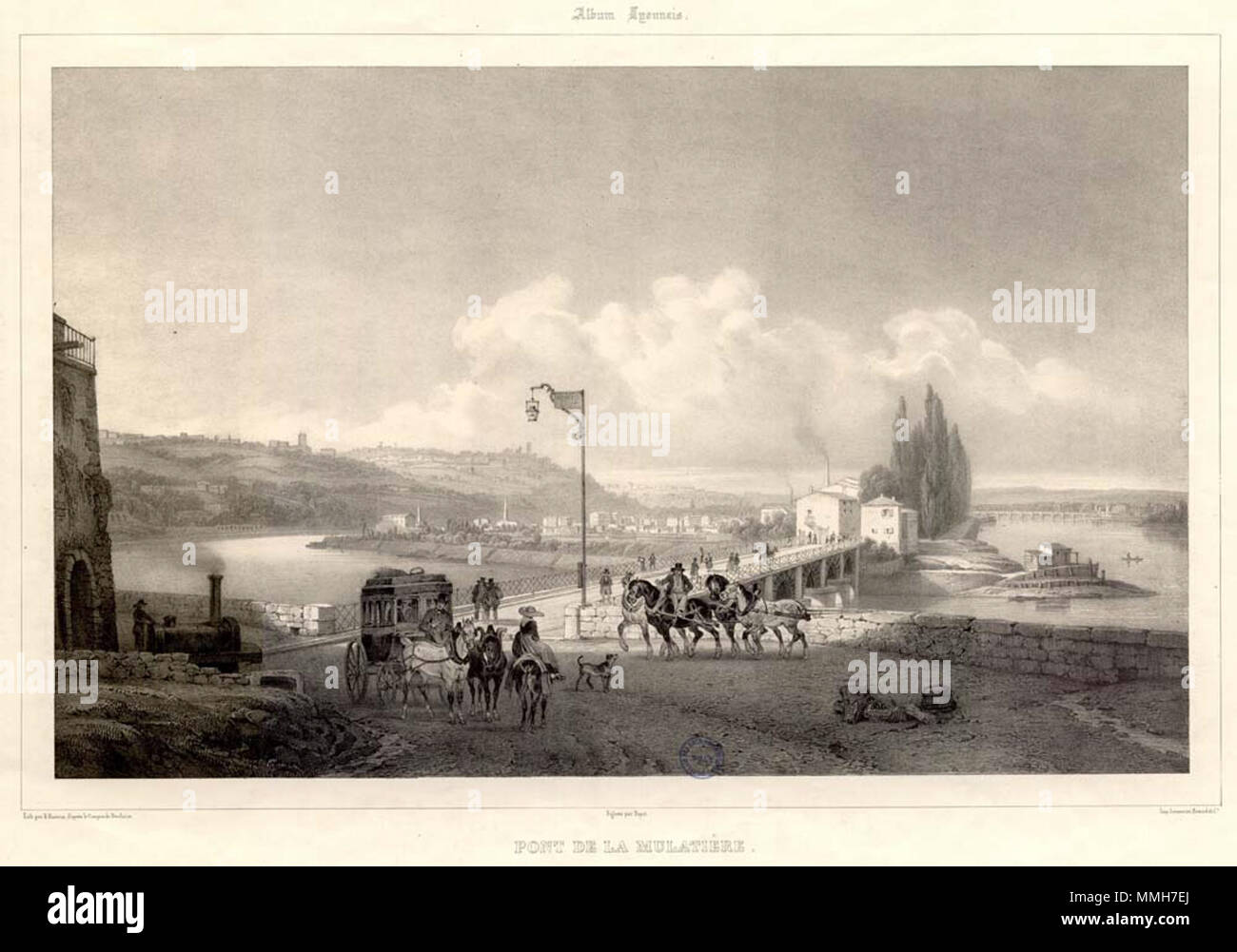 Hostein hi-res stock photography and images - Alamy