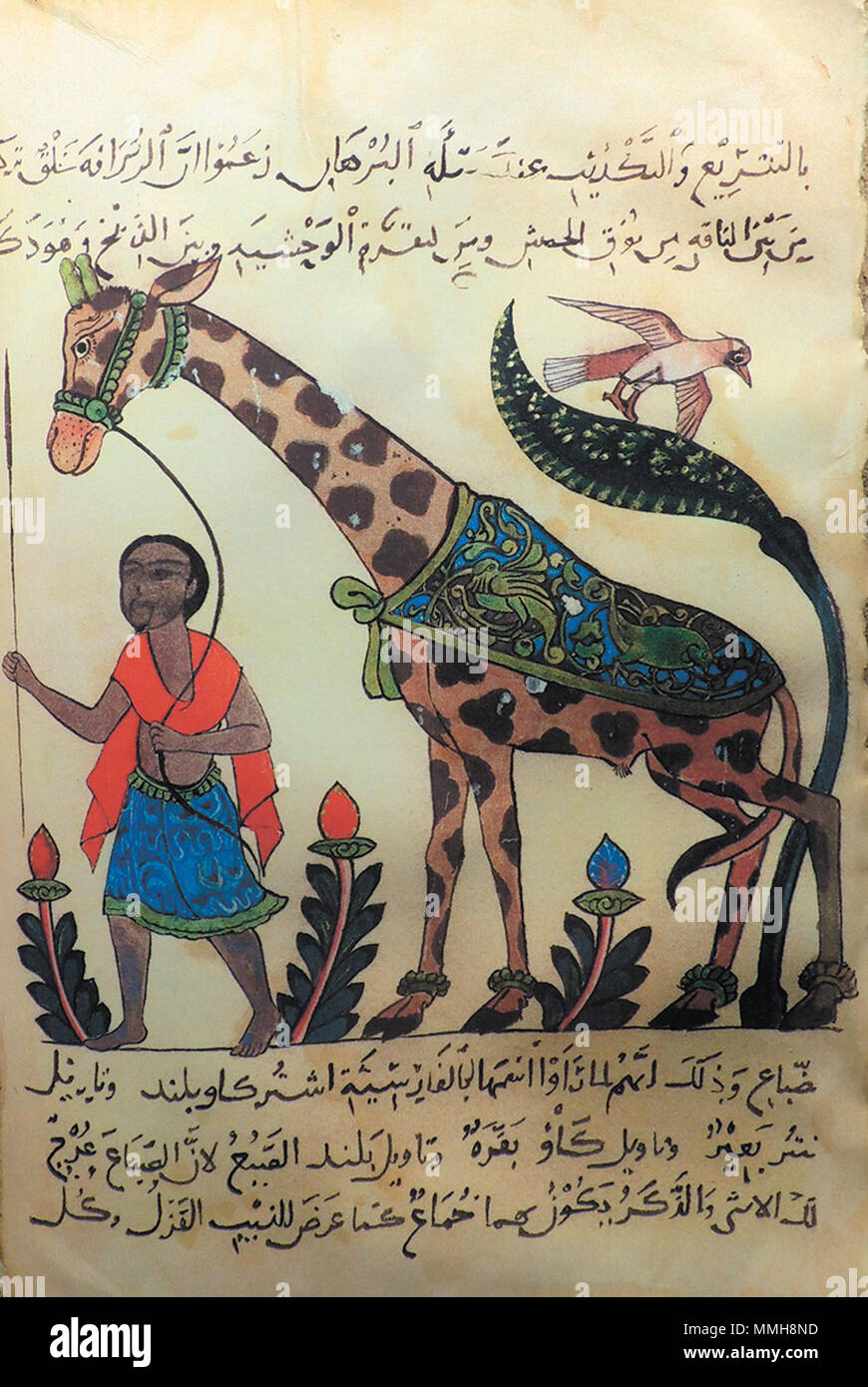 Al jahiz hi-res stock photography and images - Alamy