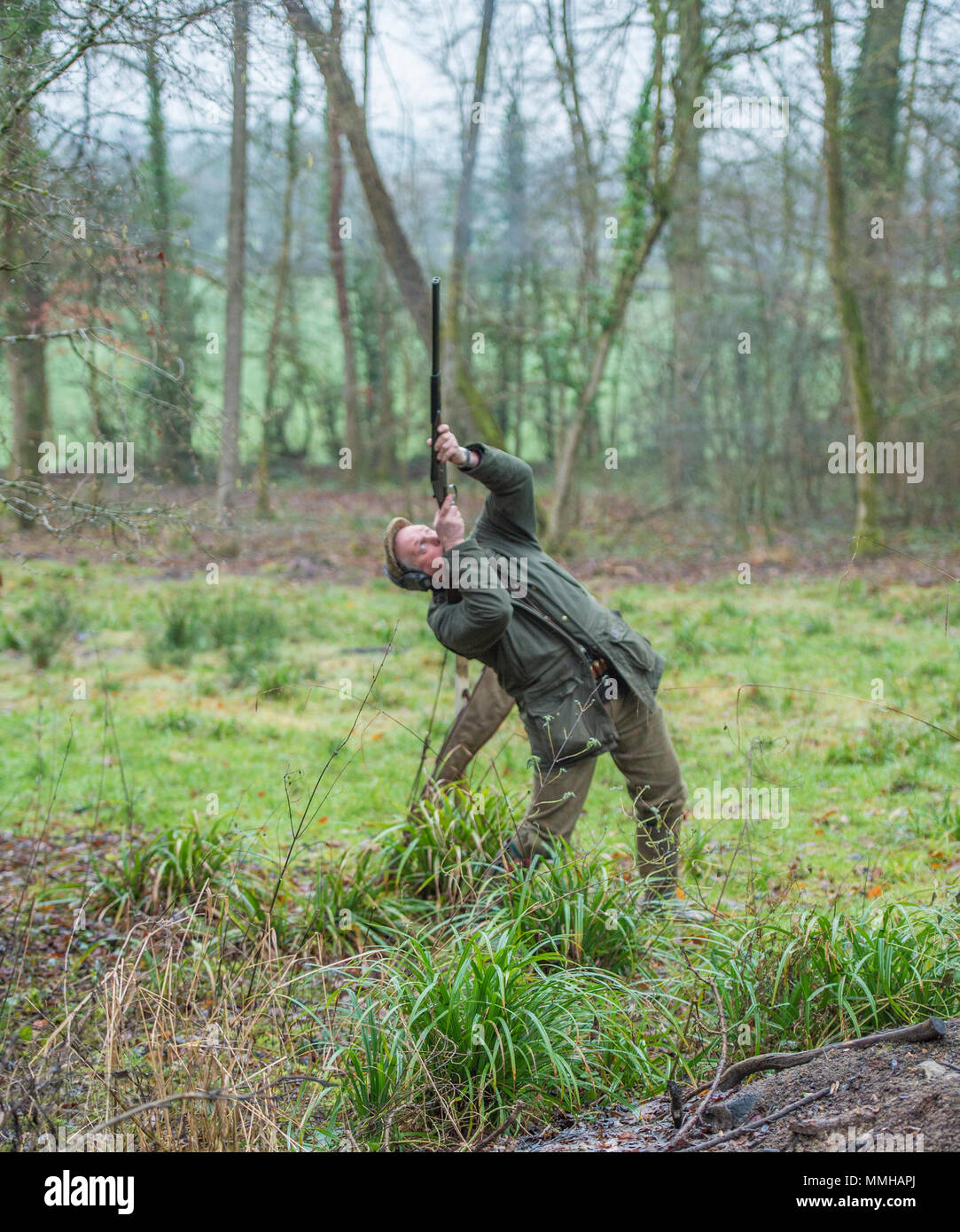 Driven bird hi-res stock photography and images - Alamy