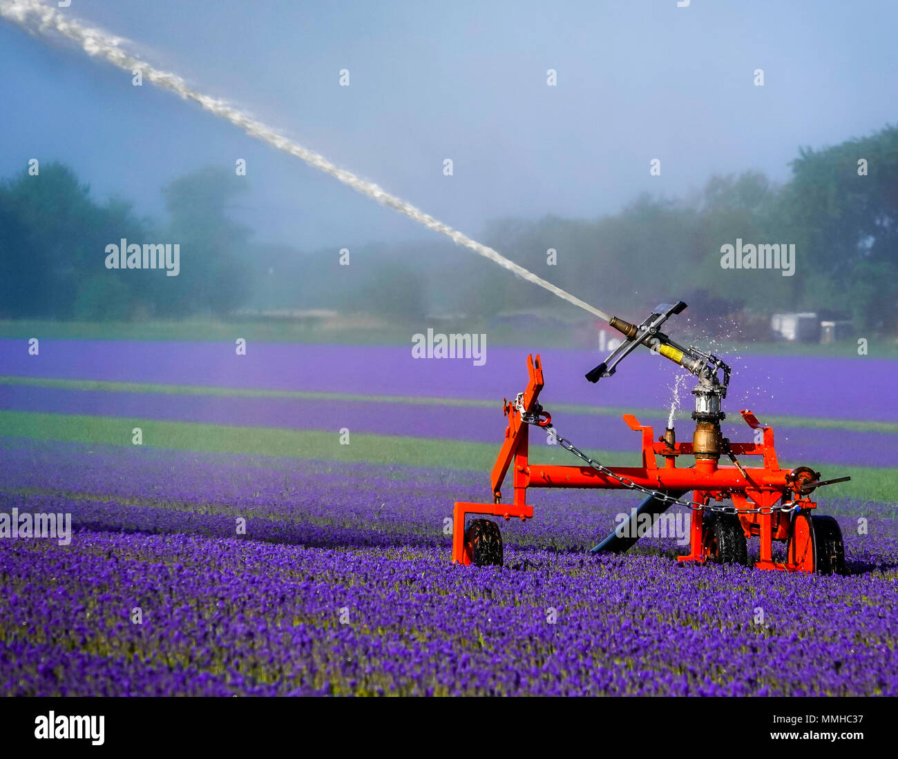 Powerful water jet hi-res stock photography and images - Alamy