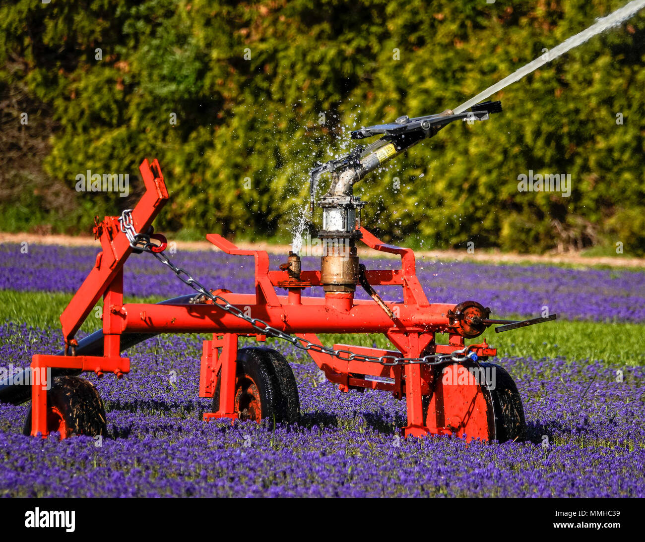 Powerful water jet hi-res stock photography and images - Alamy