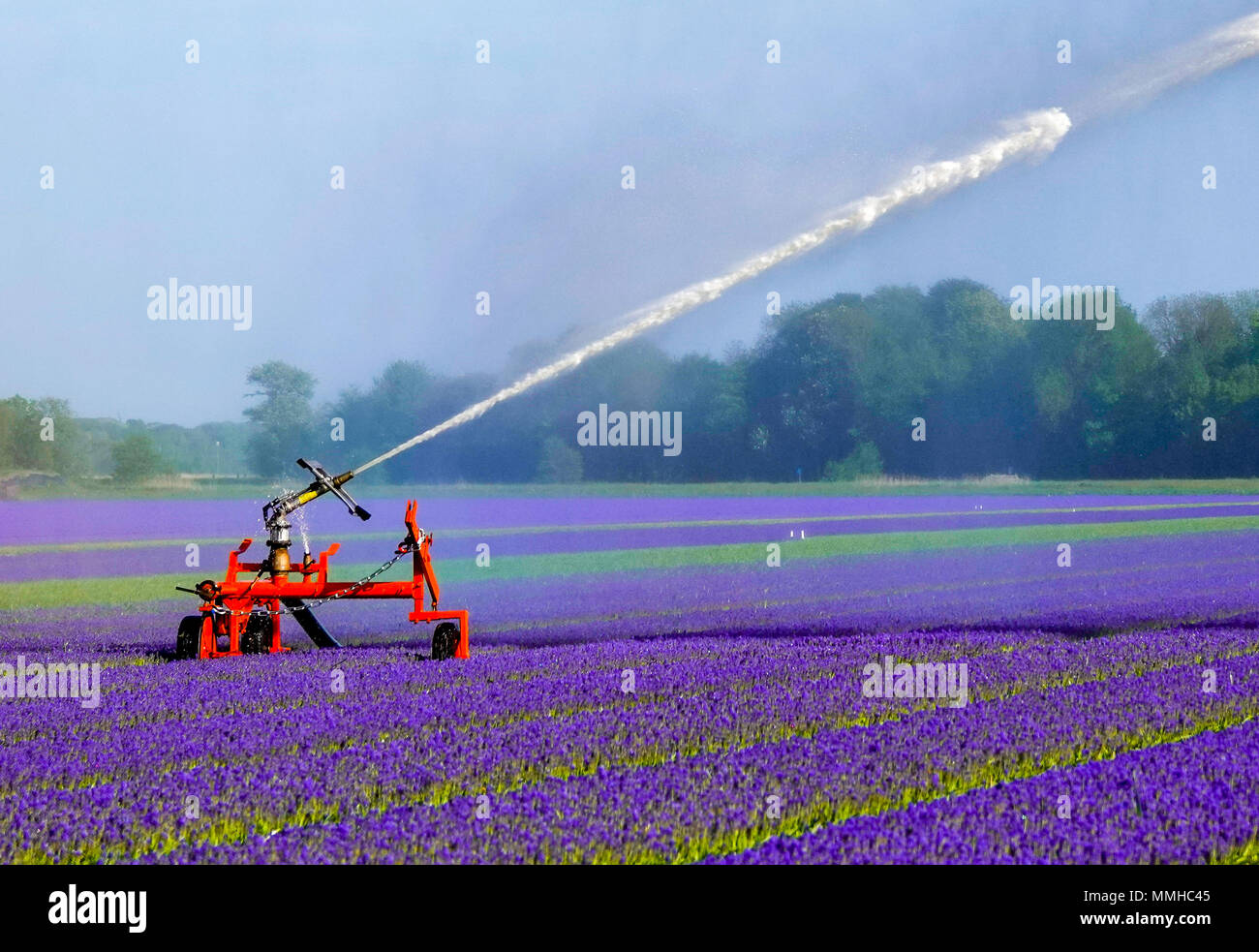 Powerful water jet hi-res stock photography and images - Alamy