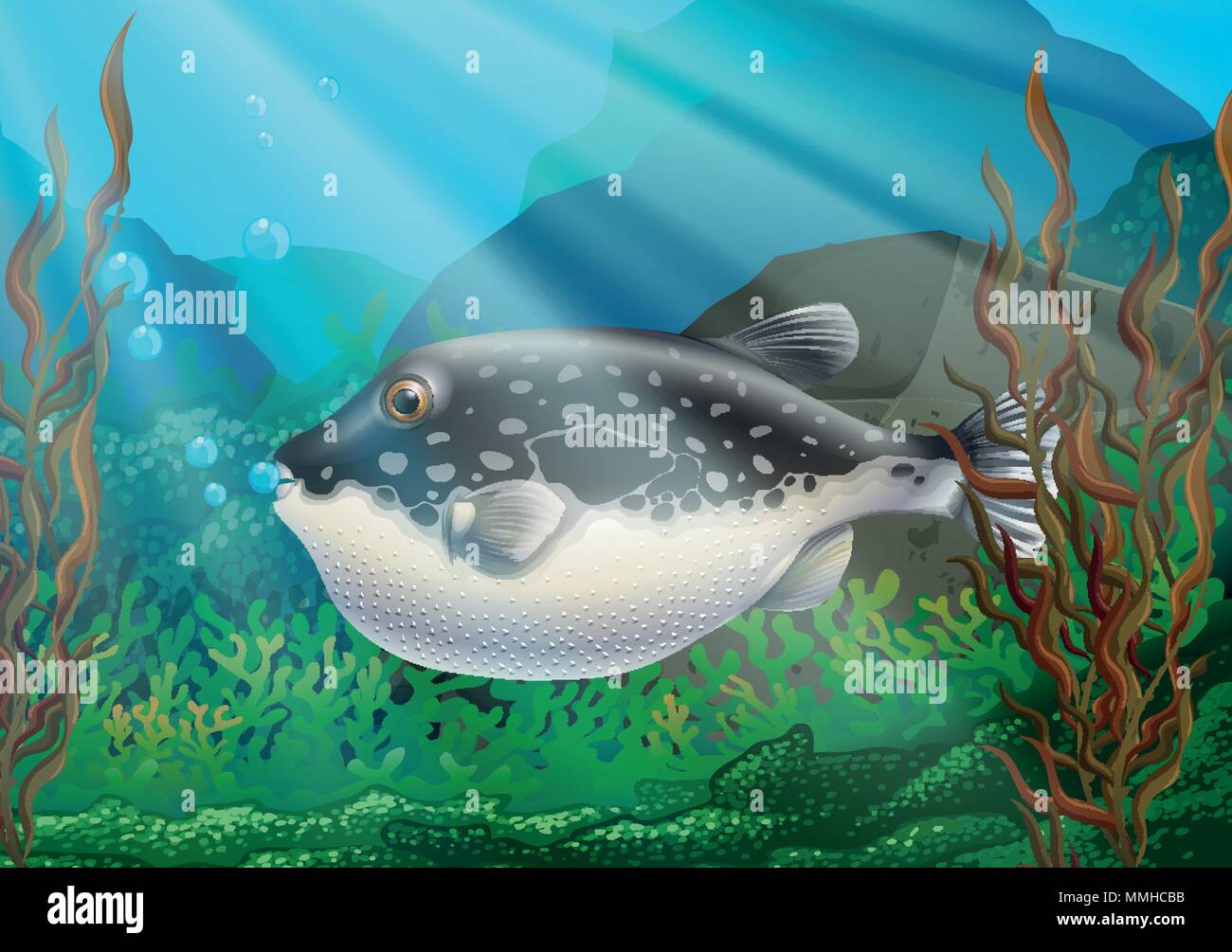 Puffer fish drawing illustration hi-res stock photography and images ...