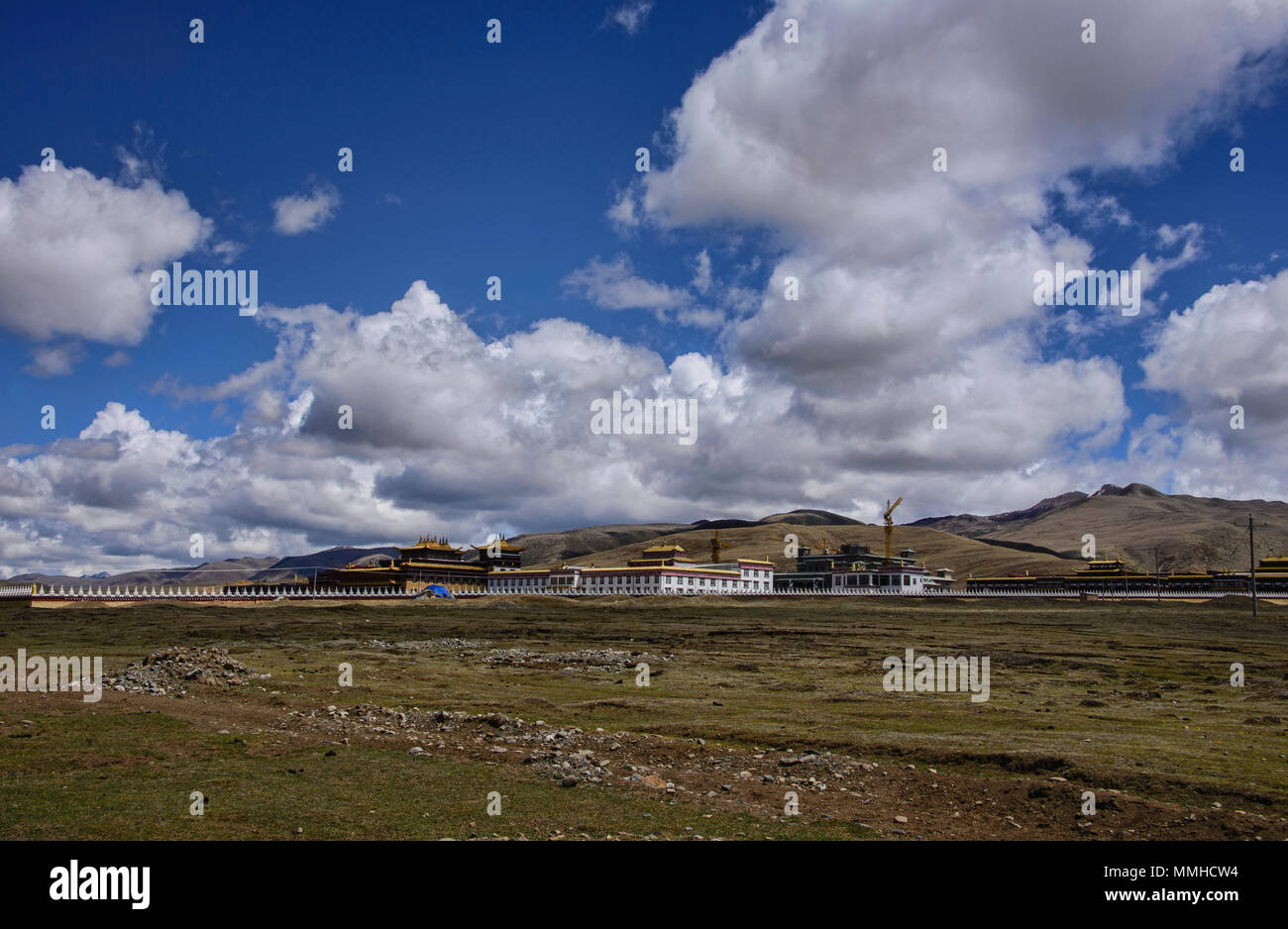 Jinlong hi-res stock photography and images - Alamy