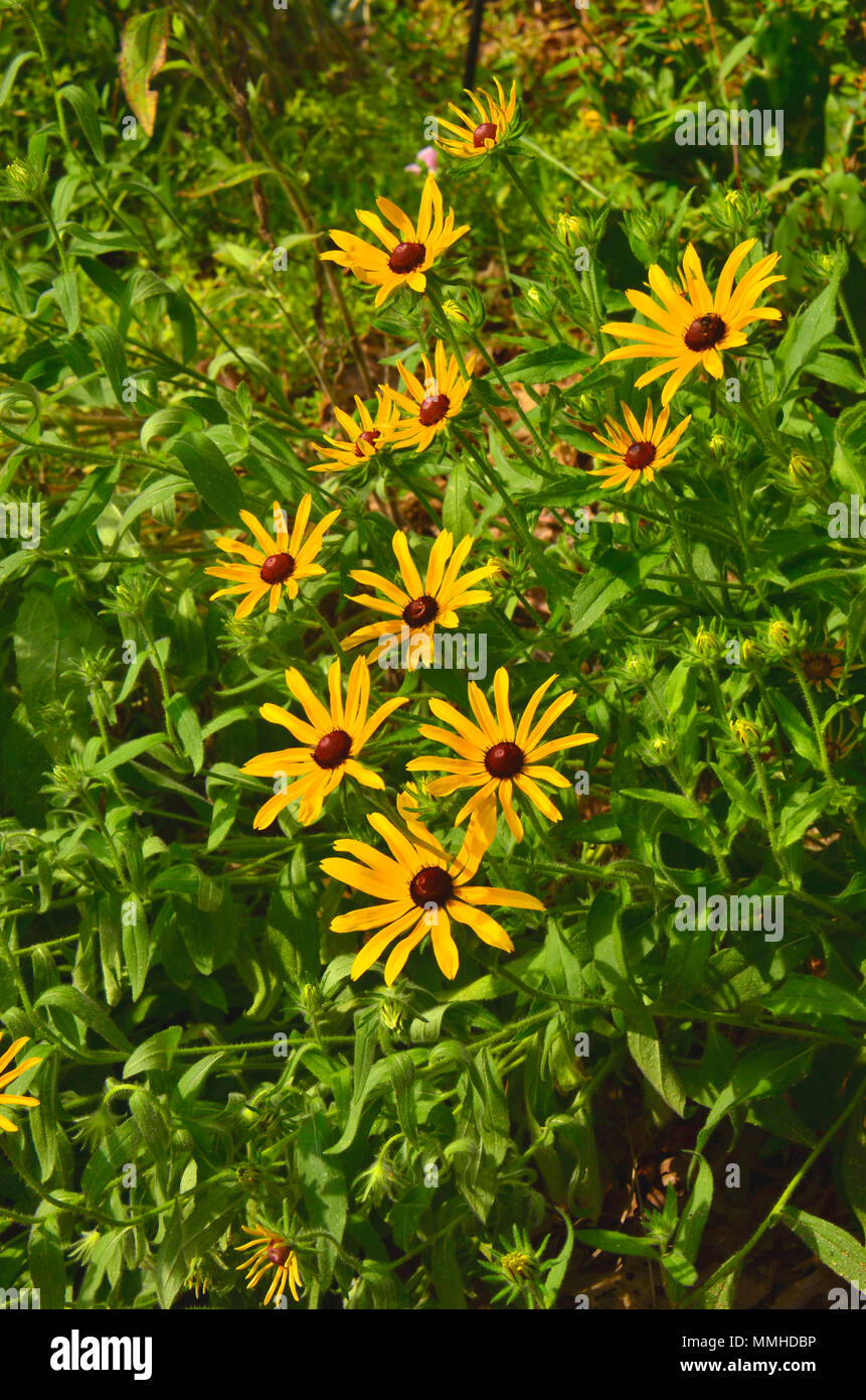 Georgia wetlands hi-res stock photography and images - Alamy
